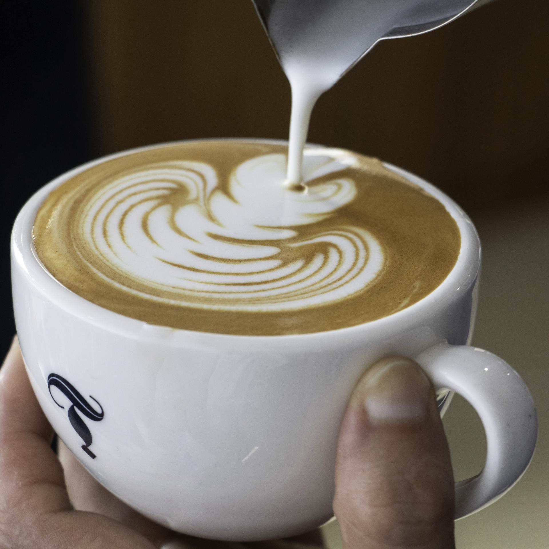 SCI Sustainable Coffee Institute