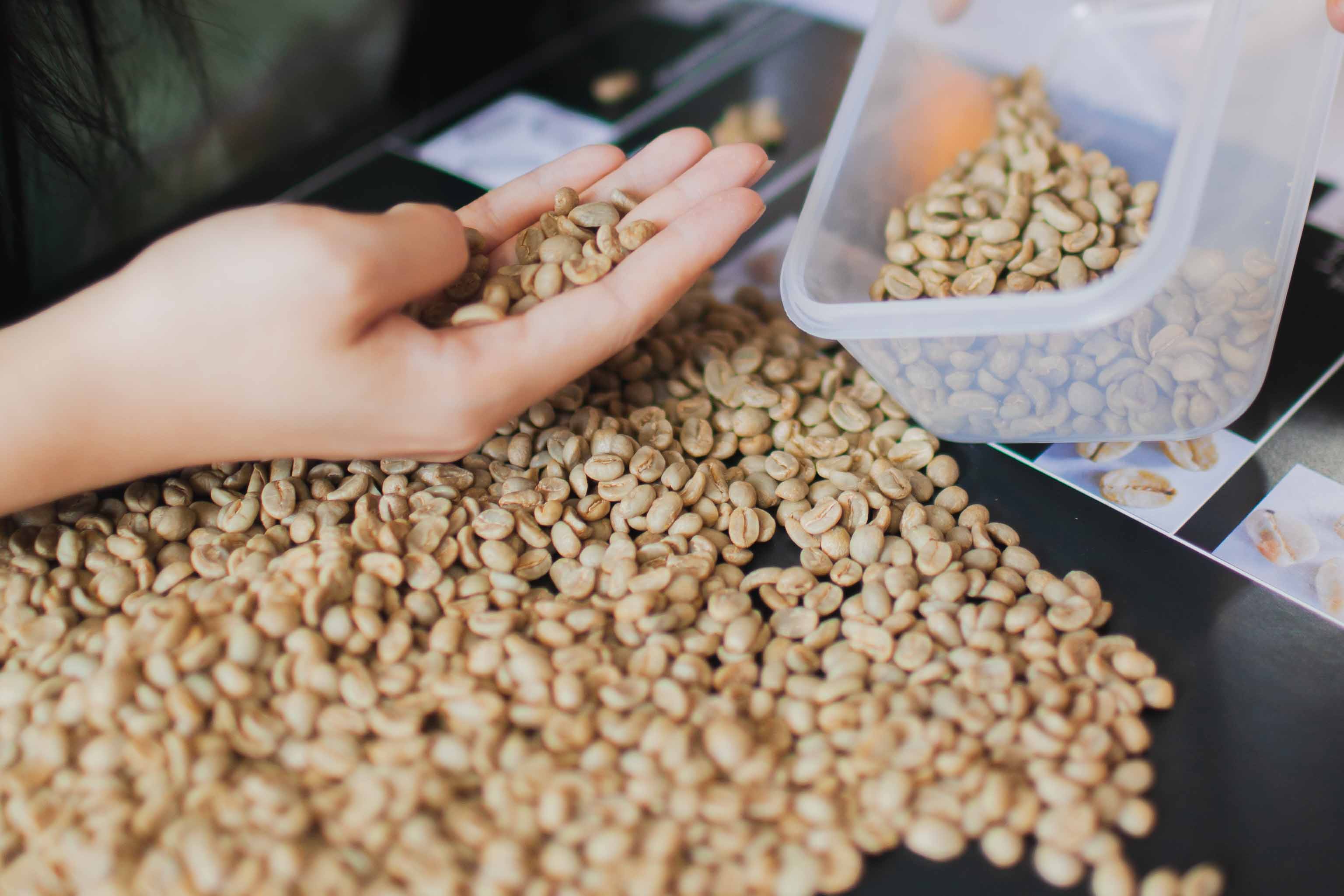 SCI Sustainable Coffee Institute