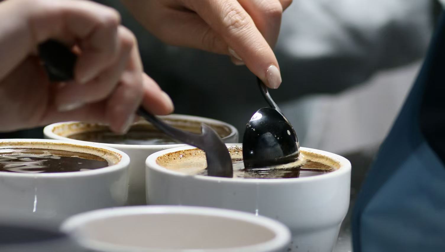 SCI Sustainable Coffee Institute