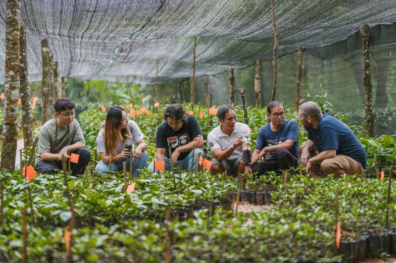 SCI Sustainable Coffee Institute